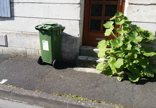 La collecte des déchets verts s’adapte à la saison